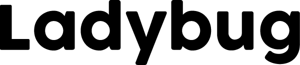 Ladybug Steam Cleaners | Steam cleaning, reinvented by Ladybug